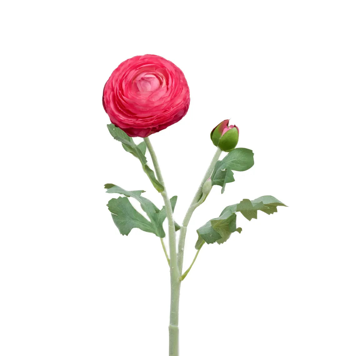 Faux Ranunculus Single Stem – Flower – Dark Pink – Flower Fairyland